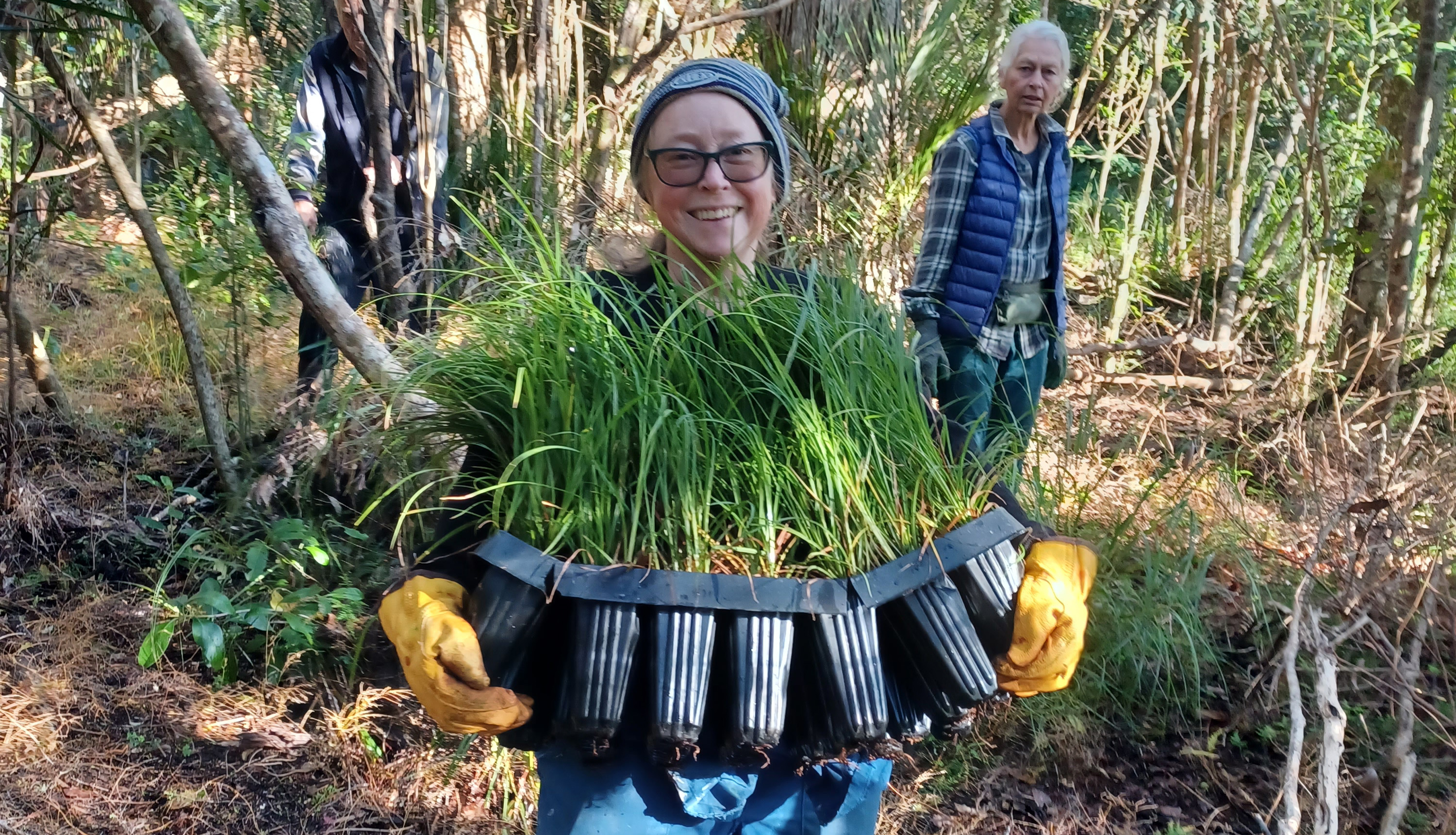 Ōtanerua Reserve Eco-Neighbourhood - LiveLightly