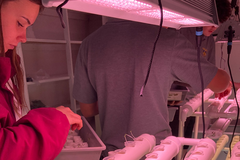 Waiuku College - LiveLightly