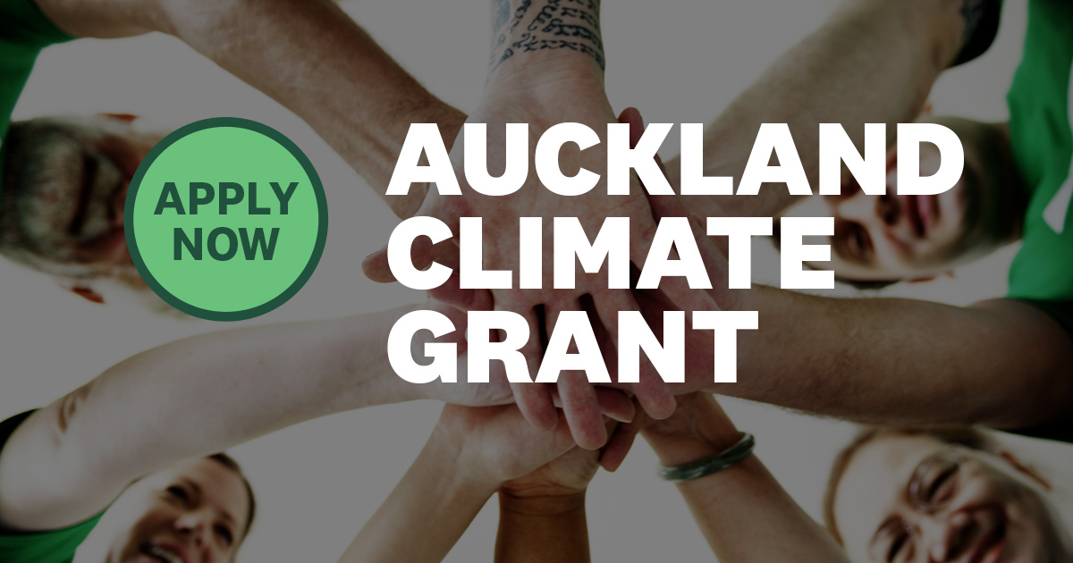 Auckland Climate Grant - LiveLightly